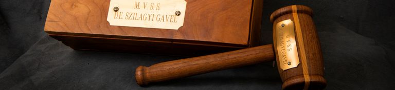 History - Midwestern Vascular Surgical Society (MVSS)